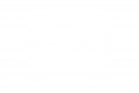 Fast n Friendly Stores | Profitable Ventures Network